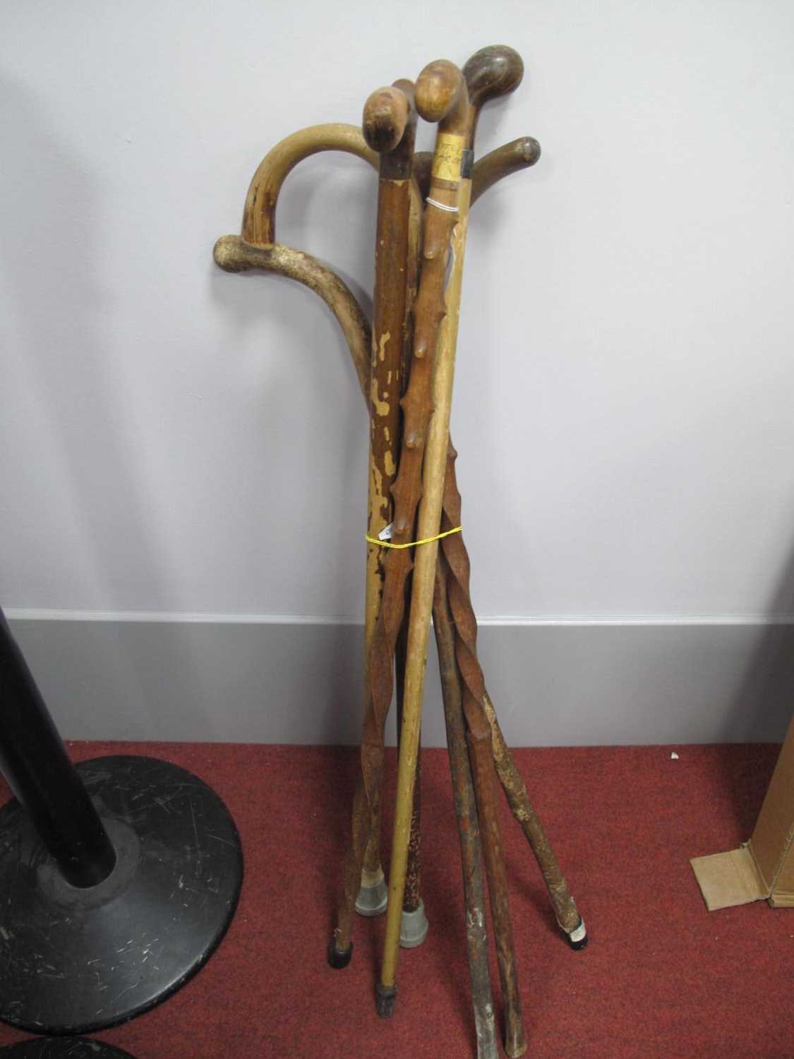 Lot 1360 - Knobbly Cane and Barley Twist Walking