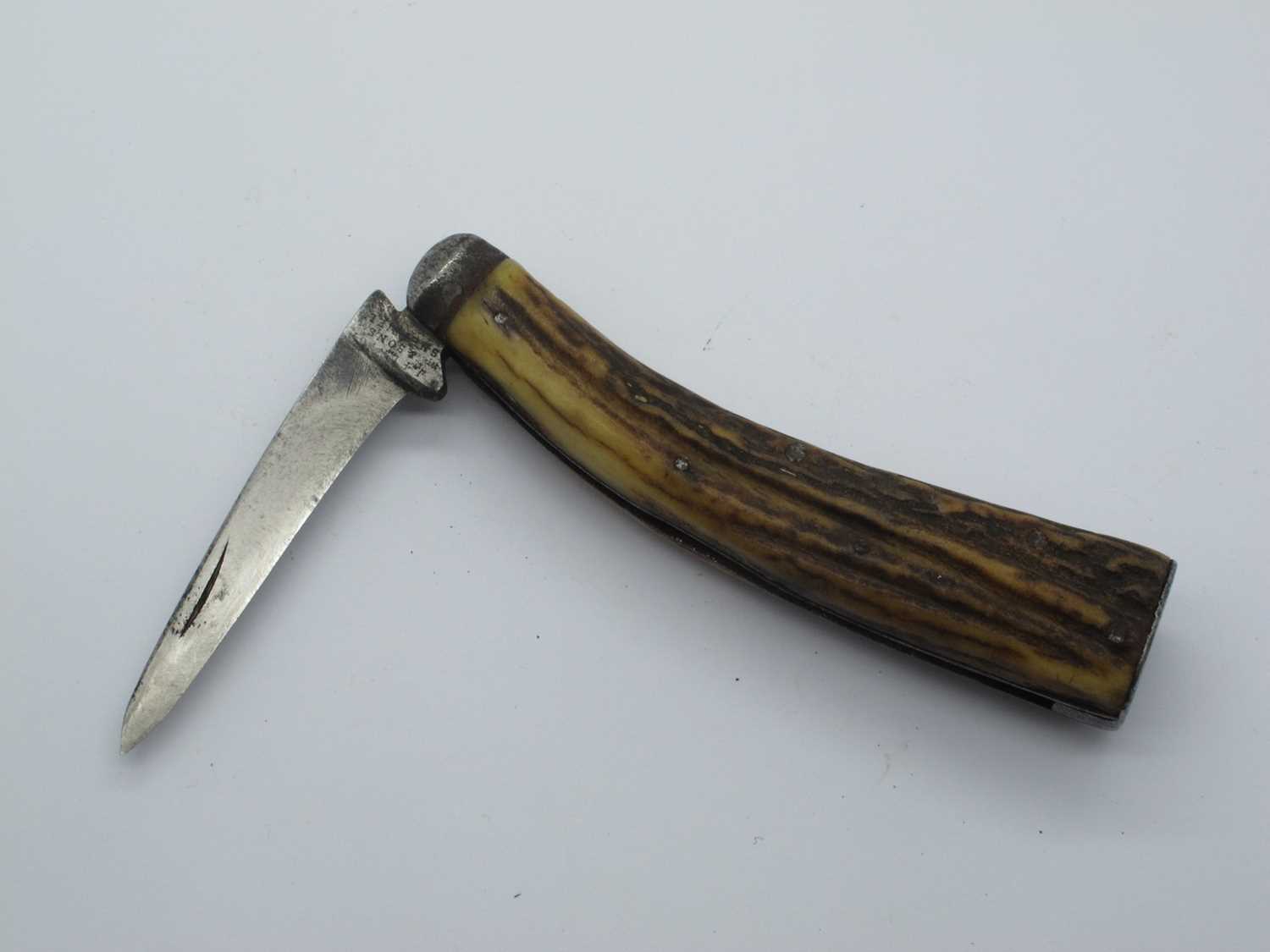 Lot 36 - Flat Bottom Pruner, stag scales, worn blade,