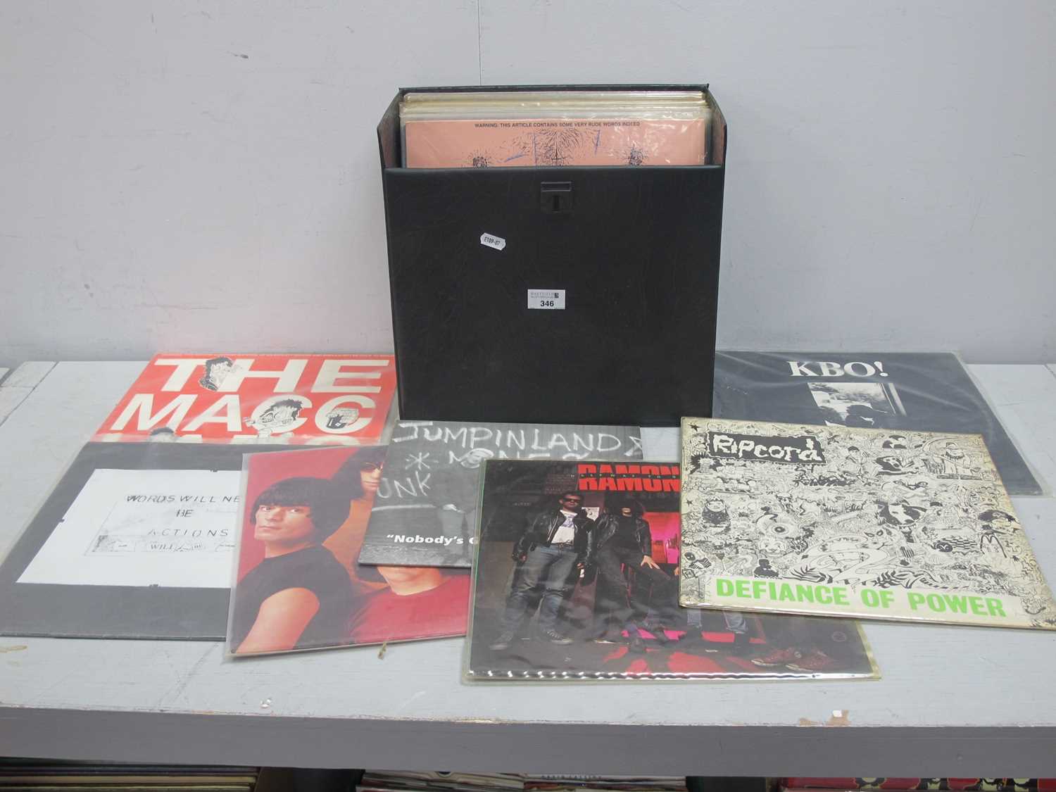 Lot 346 - Punk Interest, twenty-five albums to include