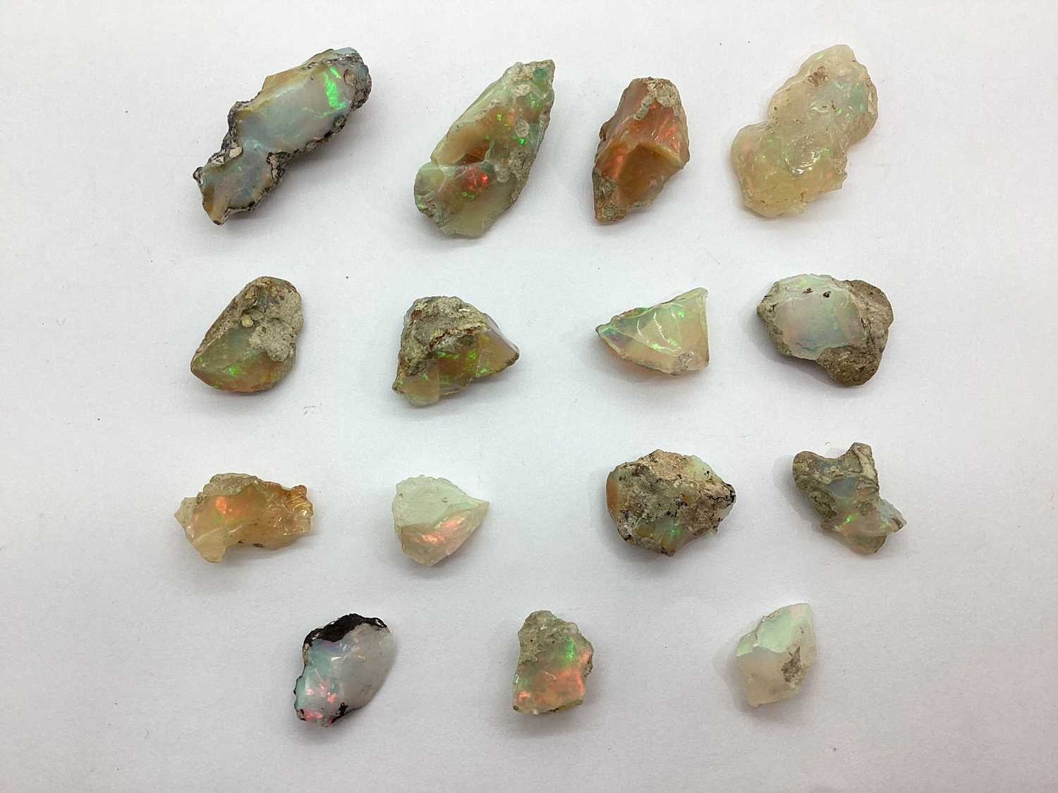 Lot 213 - Eight Unmounted Rough Opal in Matrix